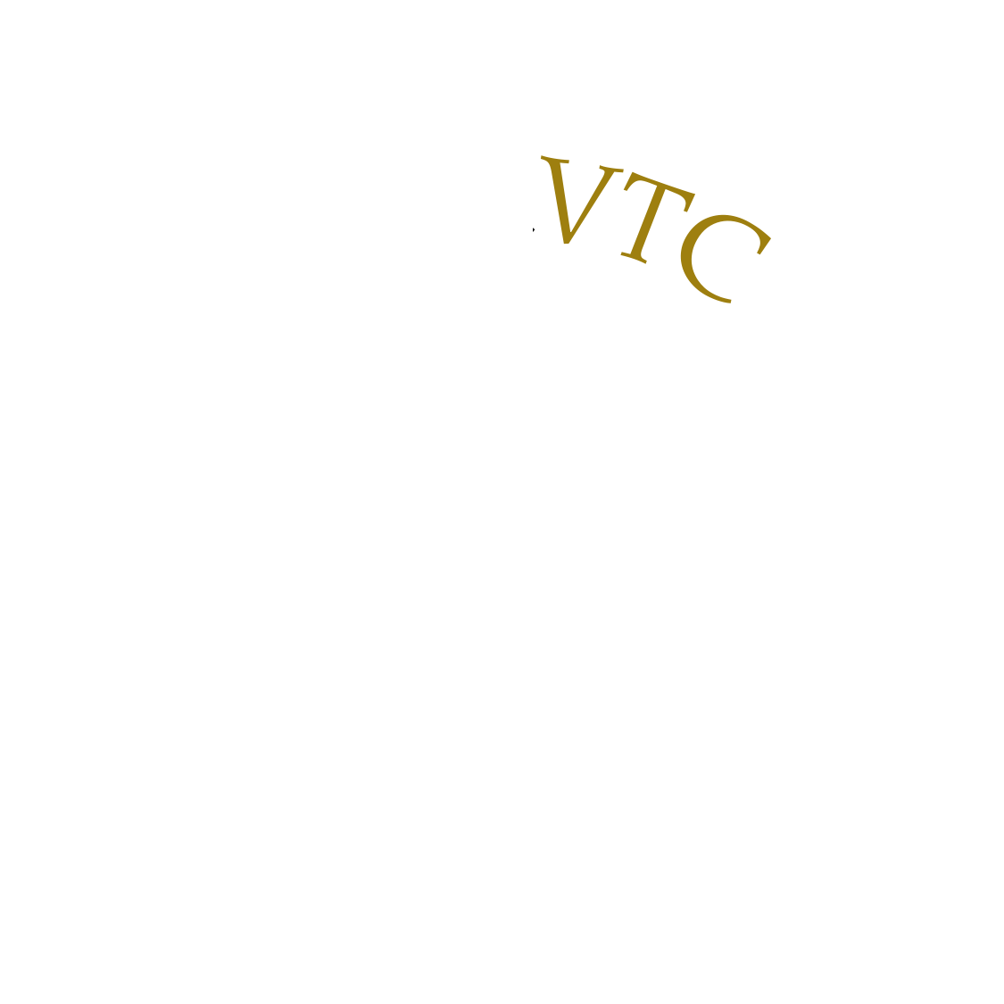NadiaVTC | Votre service VTC premium à Nice, Cannes et Monaco | nuxt-app
